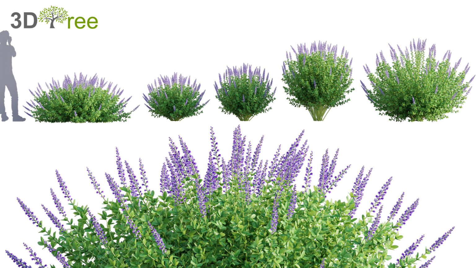 Collection 05 - Flower Garden (3D Model) - 3DTree