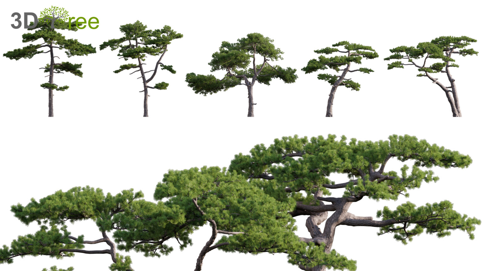 Collection 06 - Japanese Garden (3D Model) - 3DTree