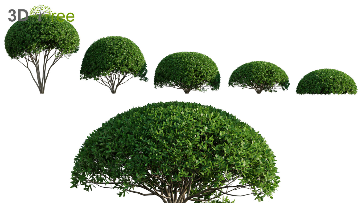 Collection 06 - Japanese Garden (3D Model) - 3DTree