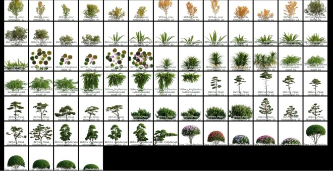 Collection 06 - Japanese Garden (3D Model) - 3DTree