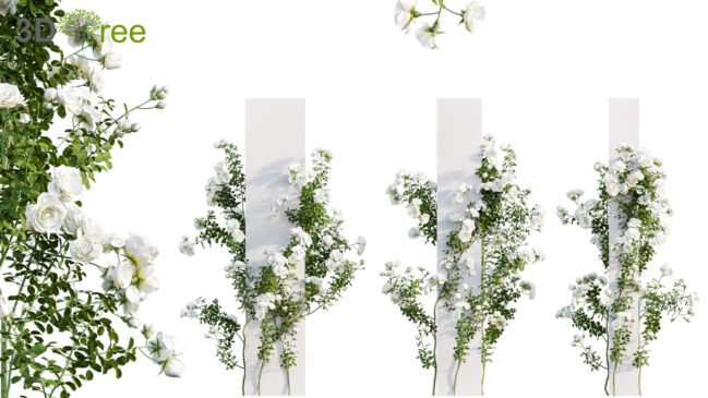 Collection 08 - Rose Garden (3D Model) - 3DTree