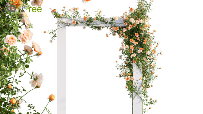 Royal Sunset Climbing Rose (3D model) - 3DTree
