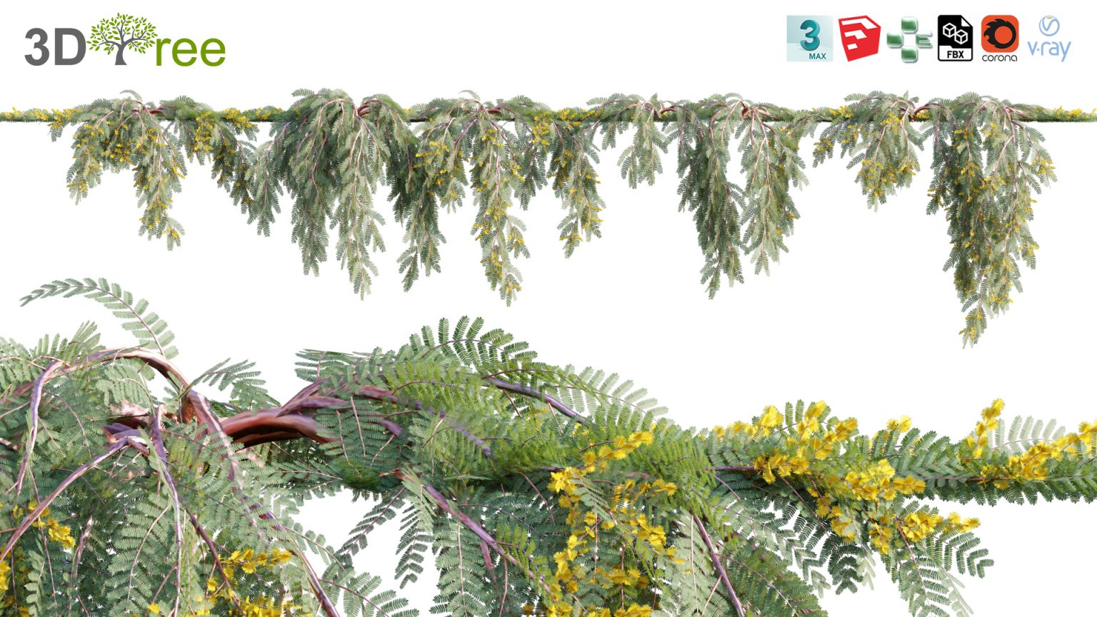 Collection 11 - Ground cover - Vines and Creepers (3D Model) - 3DTree