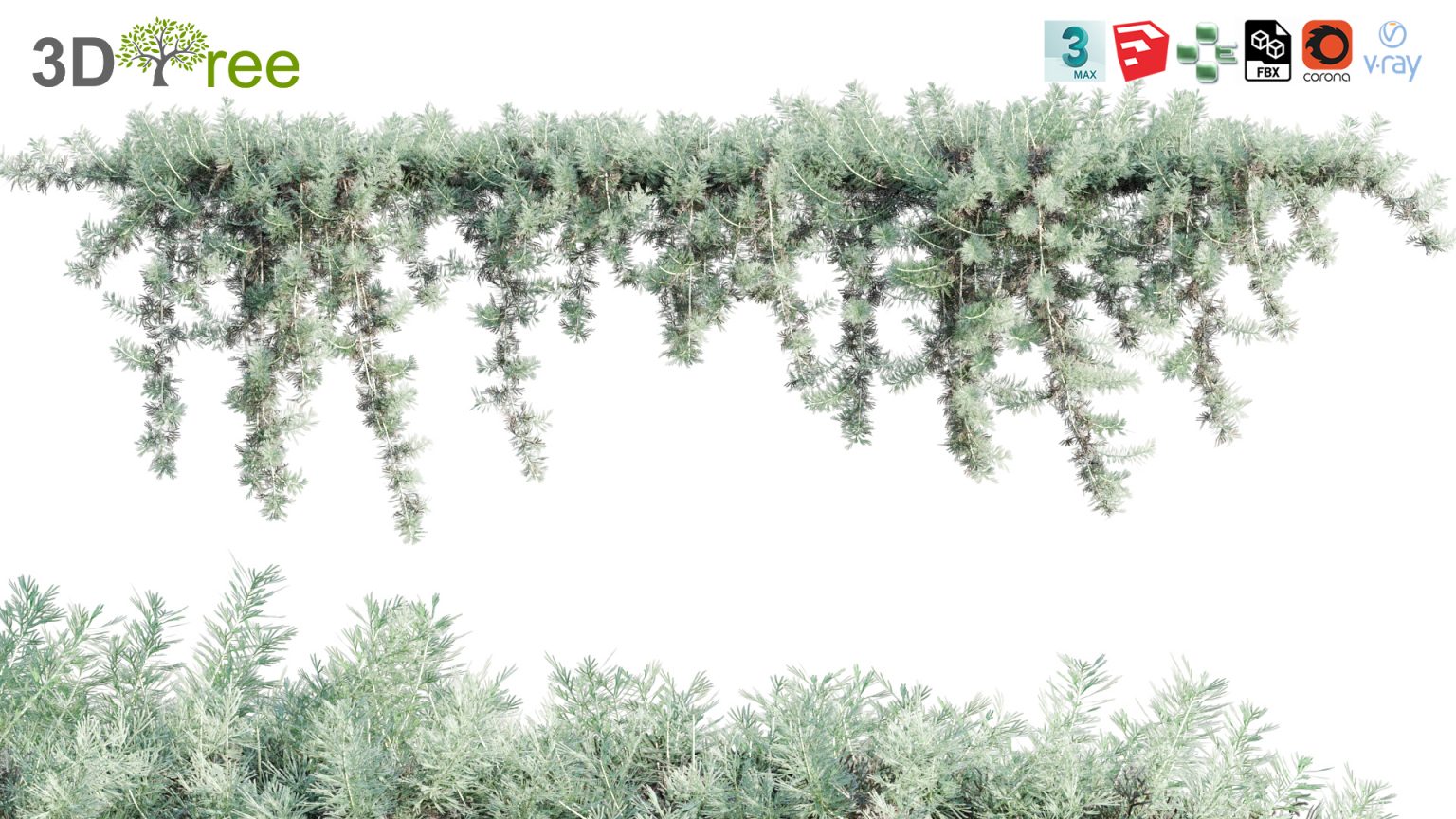 Collection 11 - Ground cover - Vines and Creepers (3D Model) - 3DTree