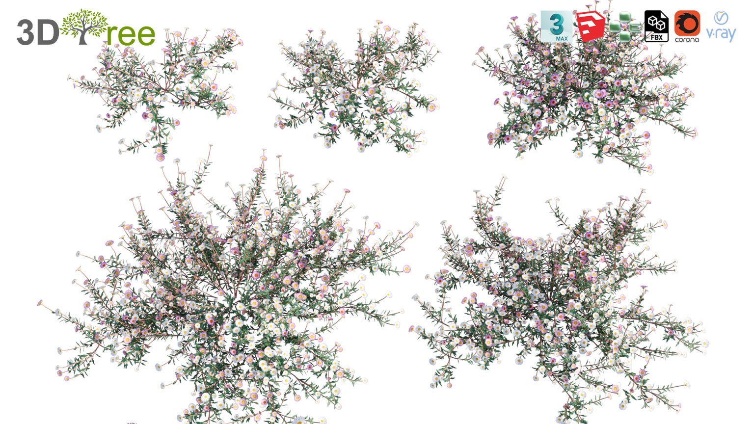 Collection 11 - Ground cover - Vines and Creepers (3D Model) - 3DTree