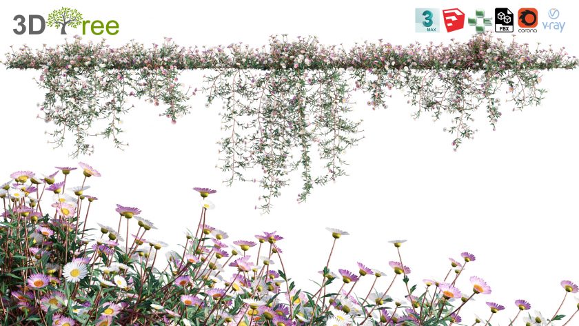 Collection 11 - Ground cover - Vines and Creepers (3D Model) - 3DTree