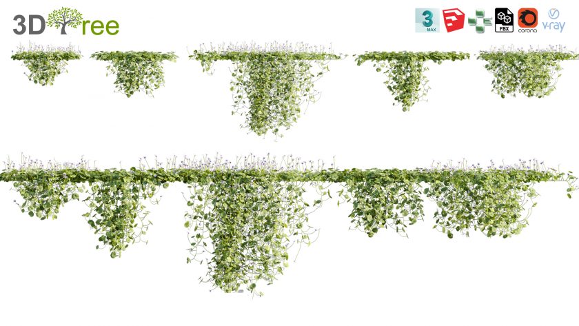 Collection 11 - Ground cover - Vines and Creepers (3D Model) - 3DTree