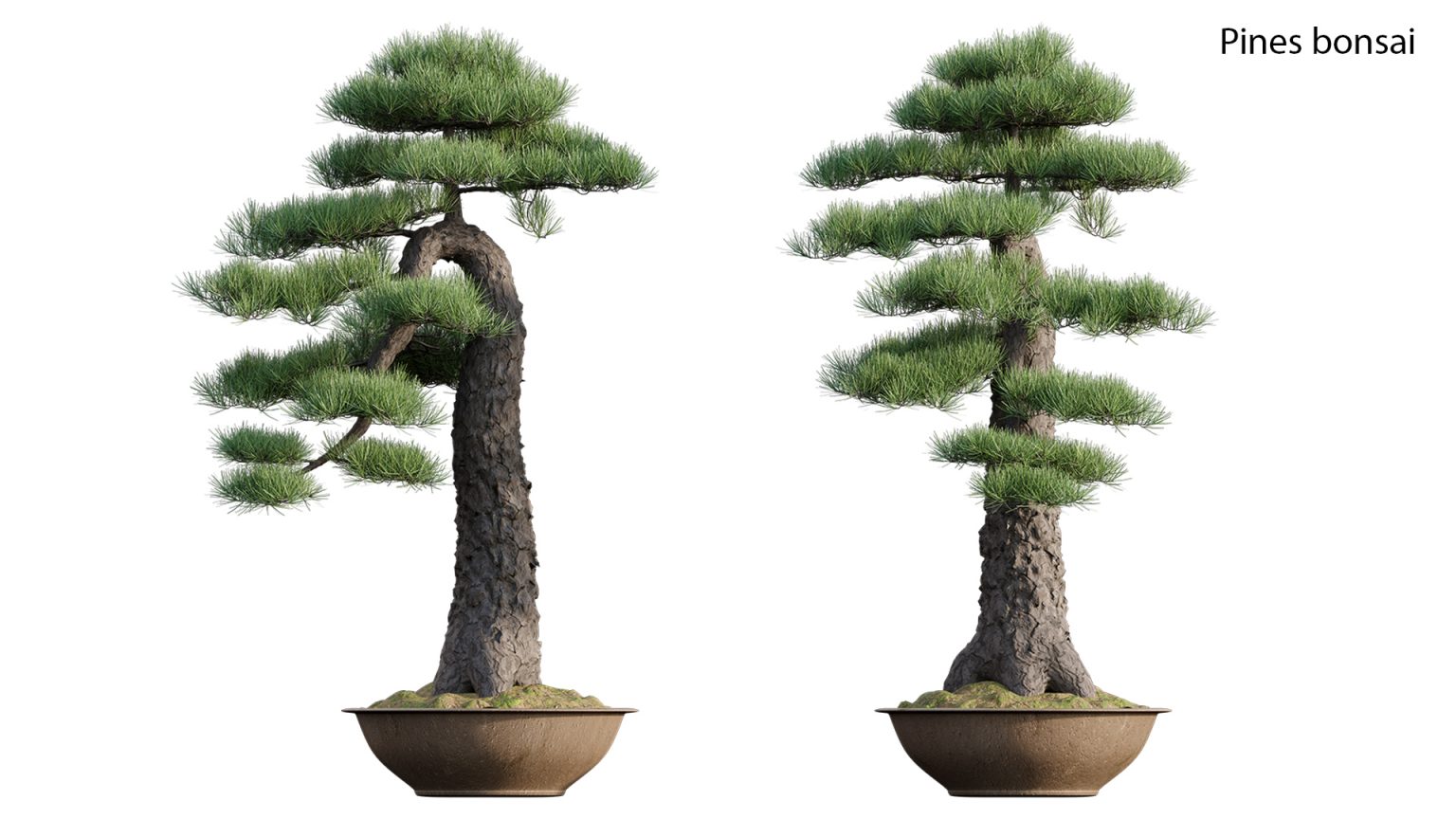 Collection 19 - Japanese garden (3D Model) - 3DTree