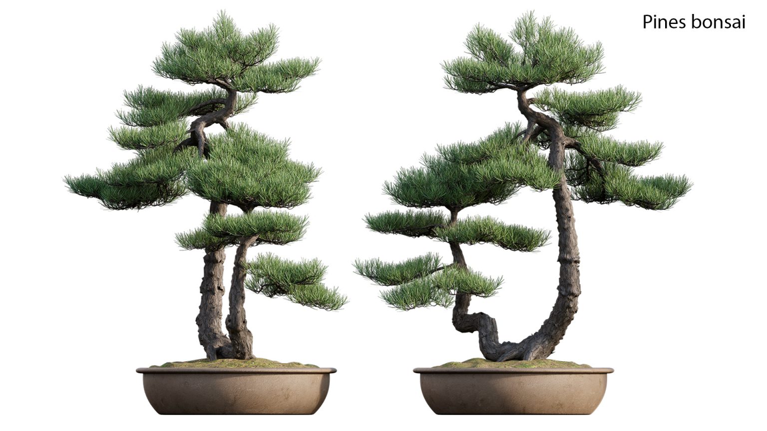 Collection 19 - Japanese garden (3D Model) - 3DTree