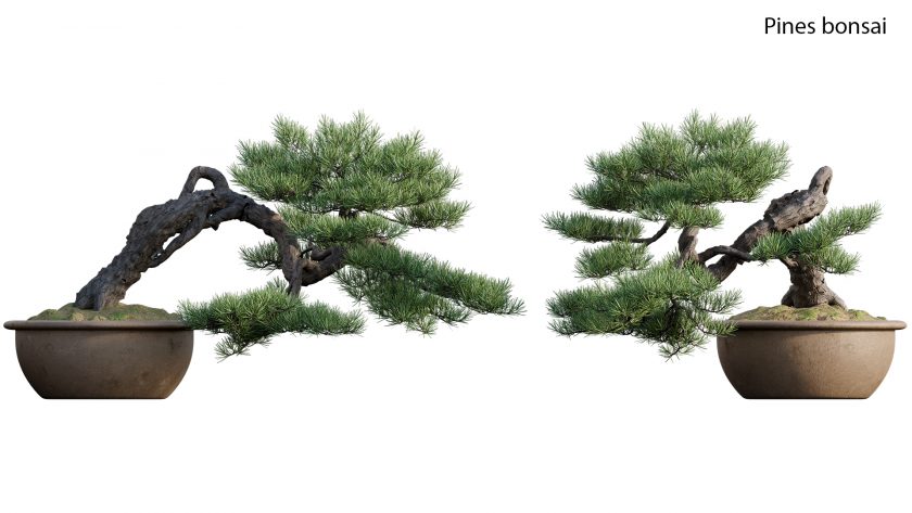 Collection 19 - Japanese garden (3D Model) - 3DTree