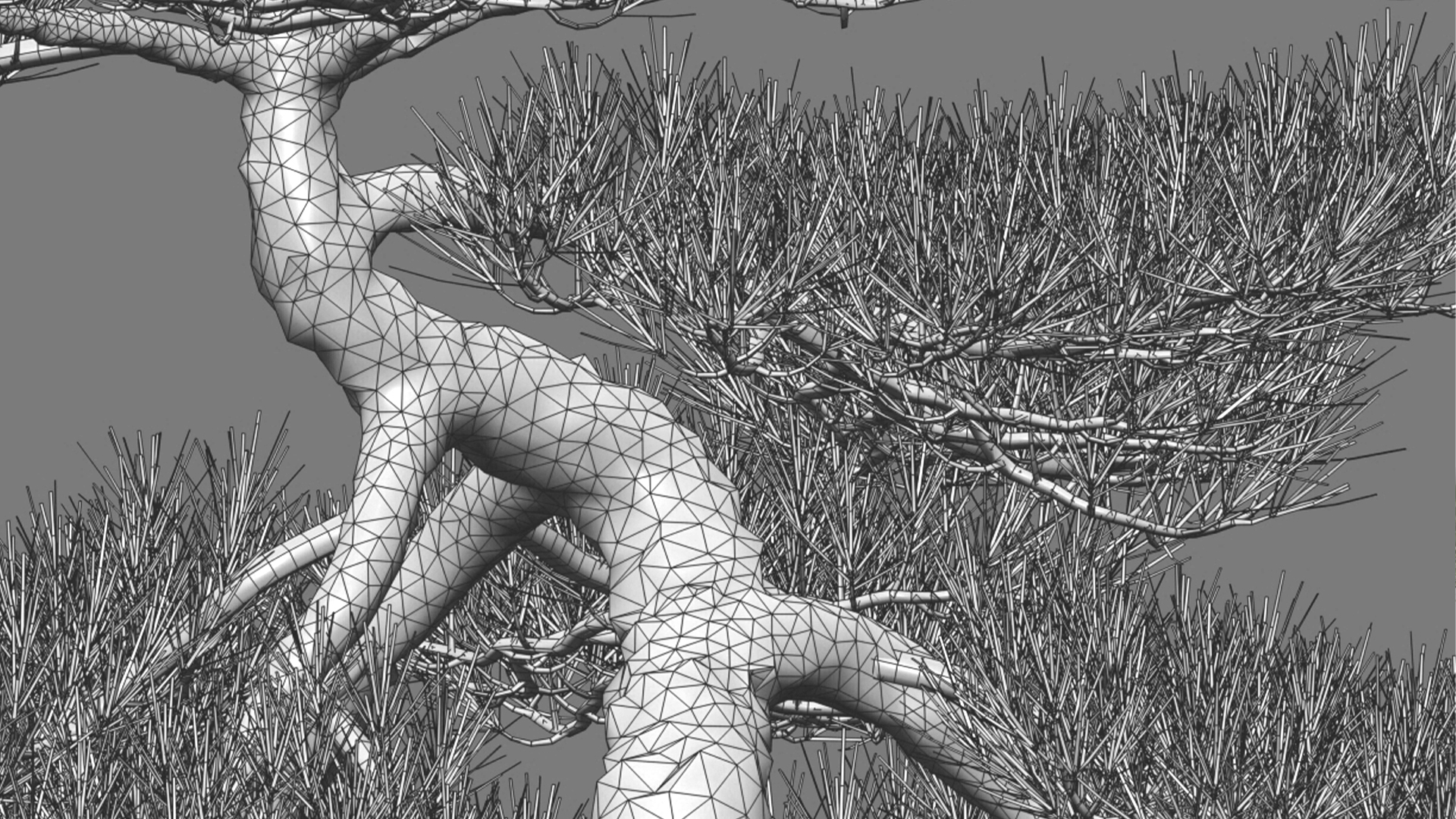 Pine bonsai 3D model - 3DTree