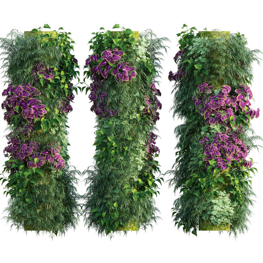 Verticalgarden 26 (3D Model) - 3DTree