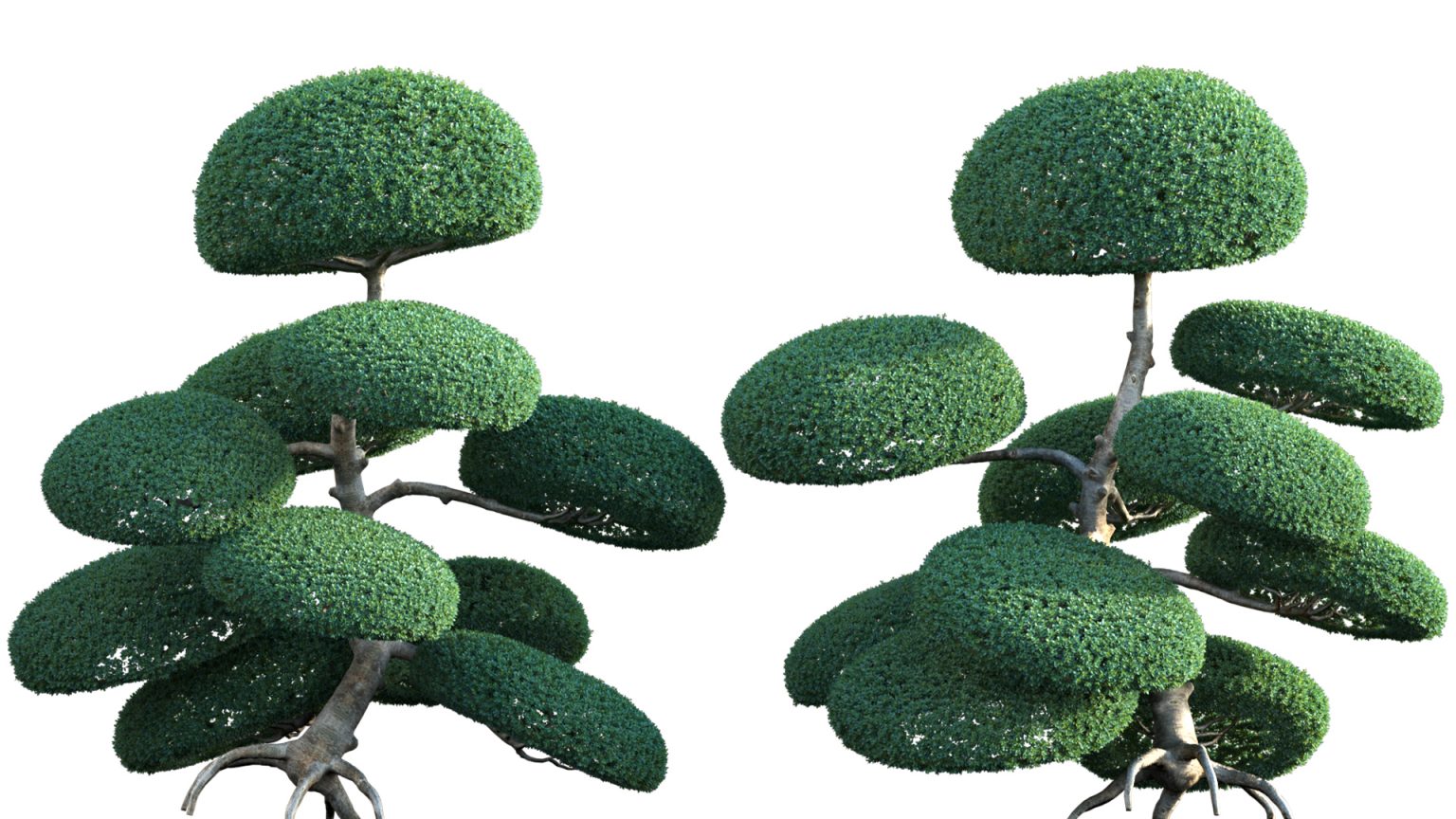 Collection 24 – Japanese Garden (3D Model) - 3DTree