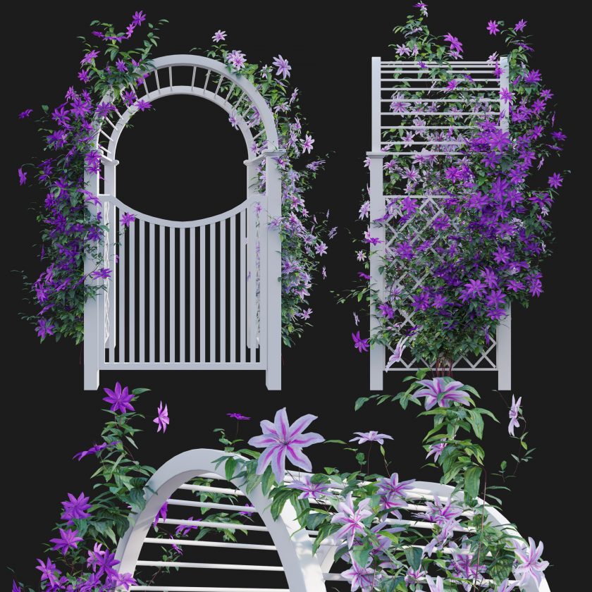 Clematis Aotearoa - Creeper Gate (3D model) - 3DTree