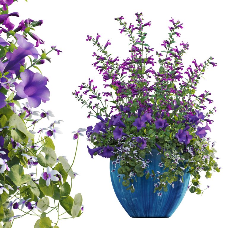 Pot Plant 02 (3D Model) - 3DTree