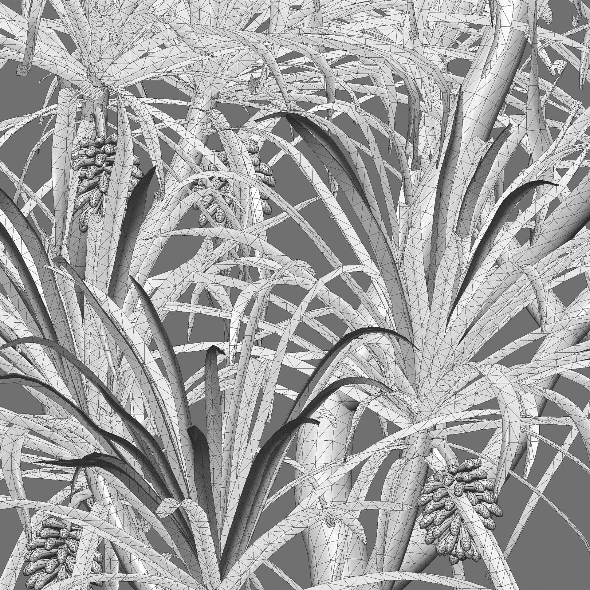 Pandanus tectorius - Screw Pine (3D Model) - 3DTree